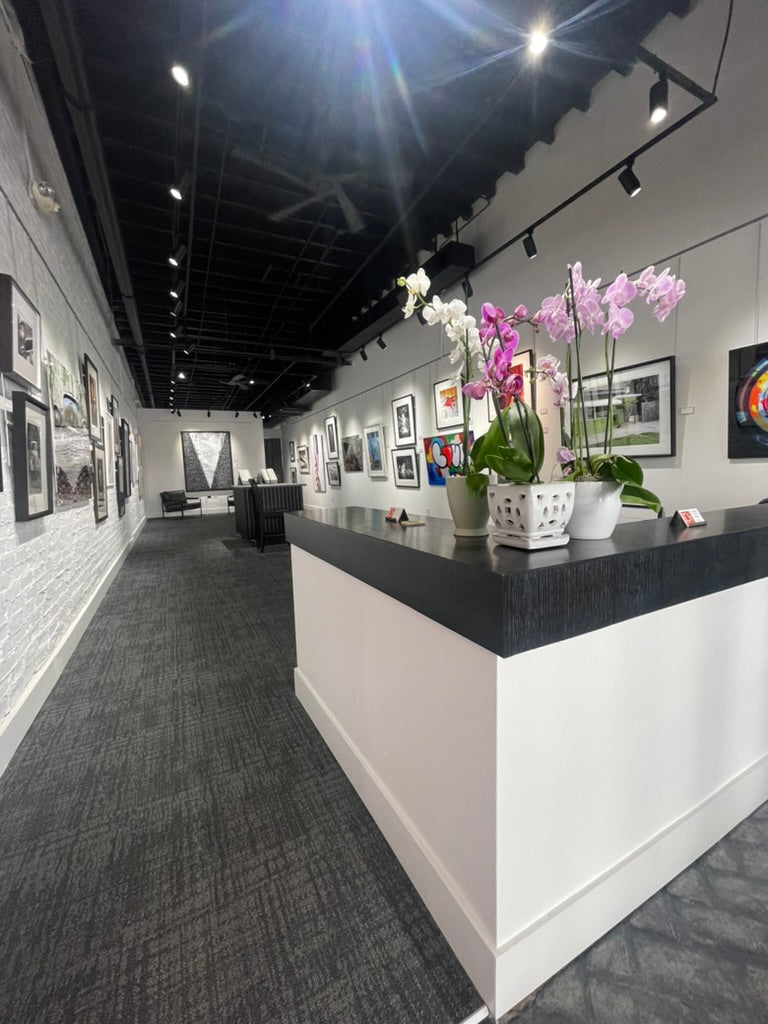 OUR NEW HOME – DIVERGENT IMAGE